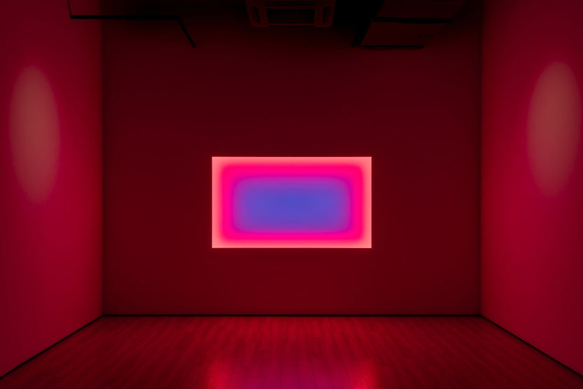 Collections – Page 4 – Almine Rech Editions