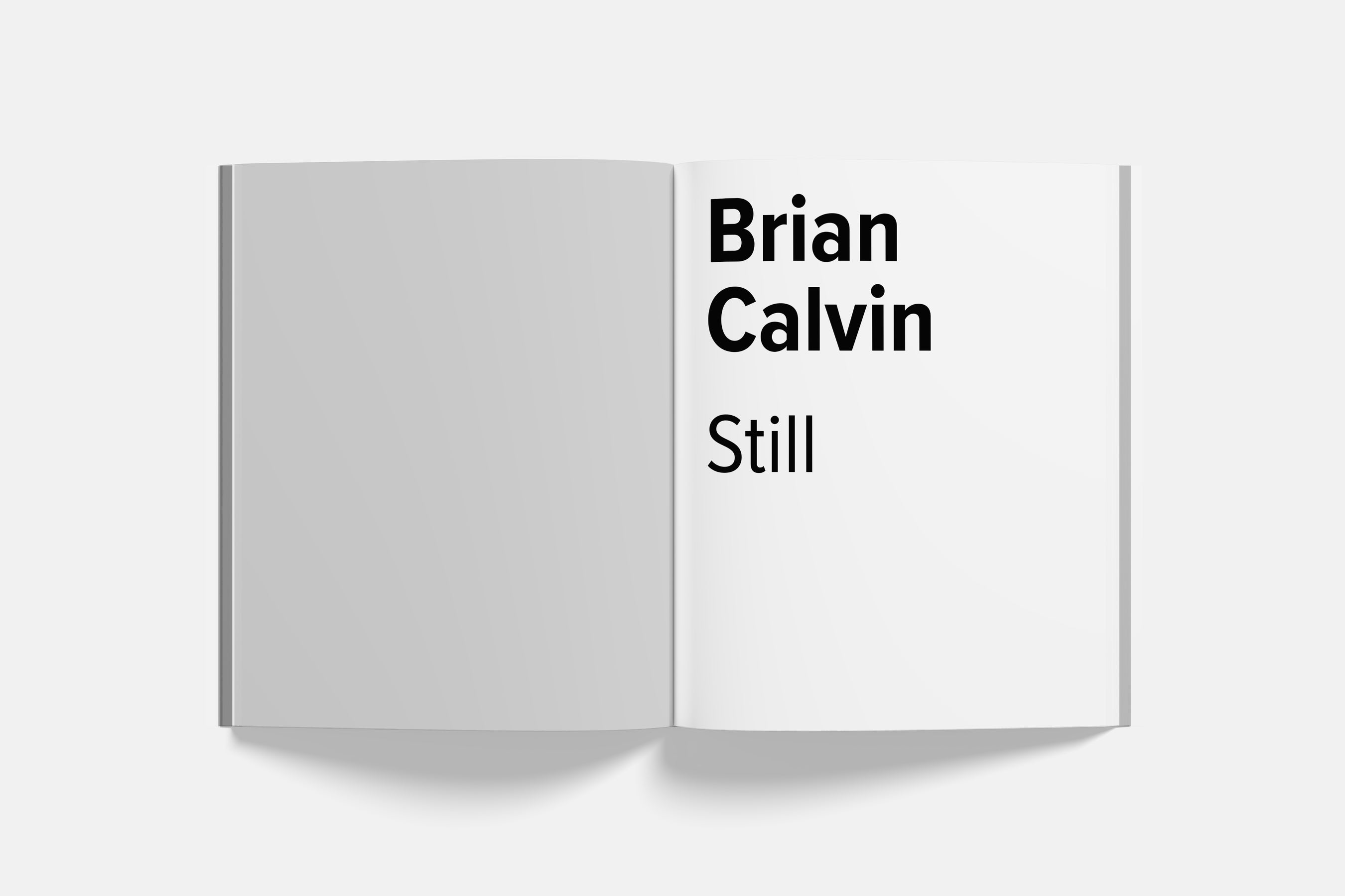 Brian Calvin Still - Venice Exhibition Catalogue 2023 | Almine Rech ...