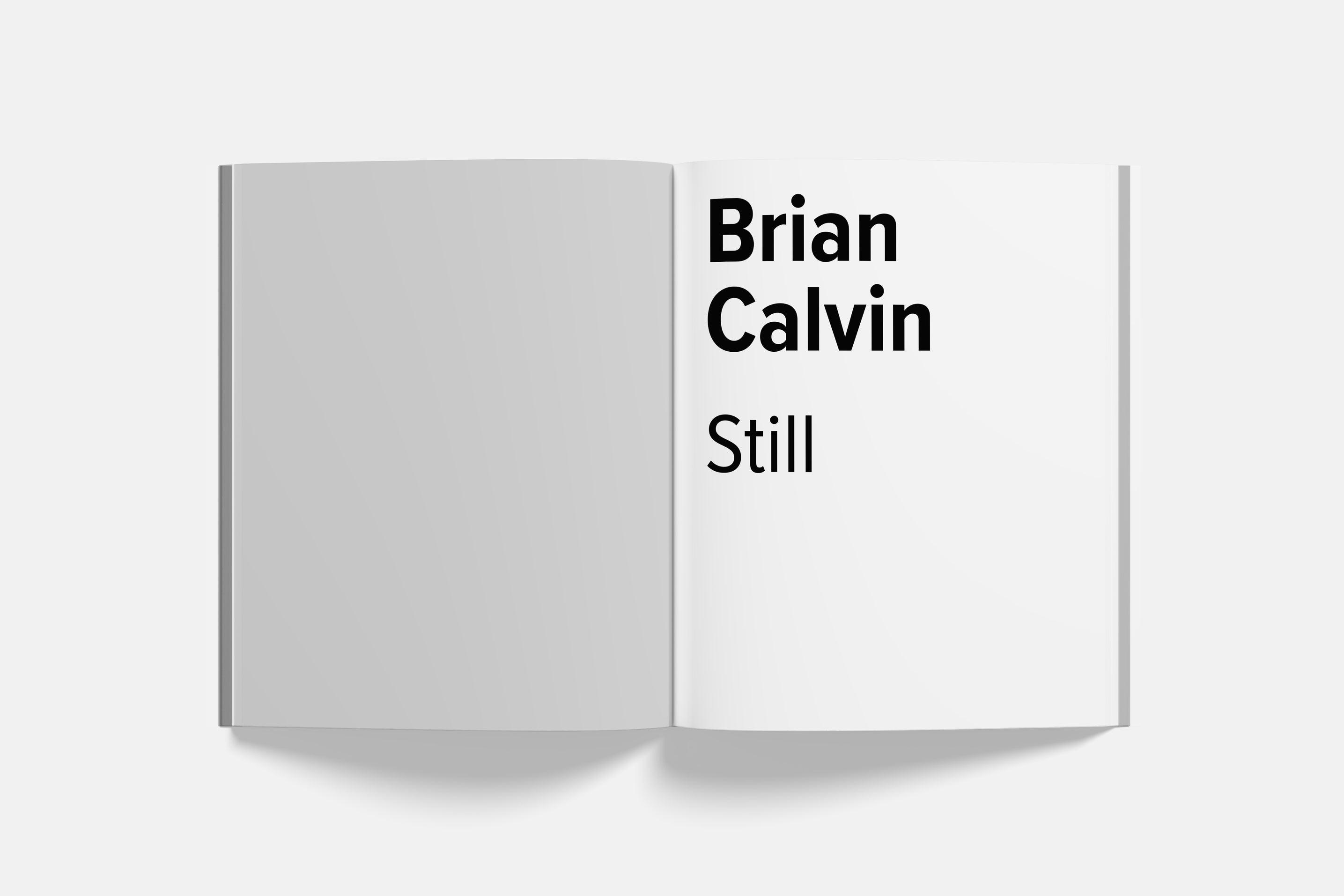 Still – Almine Rech Editions