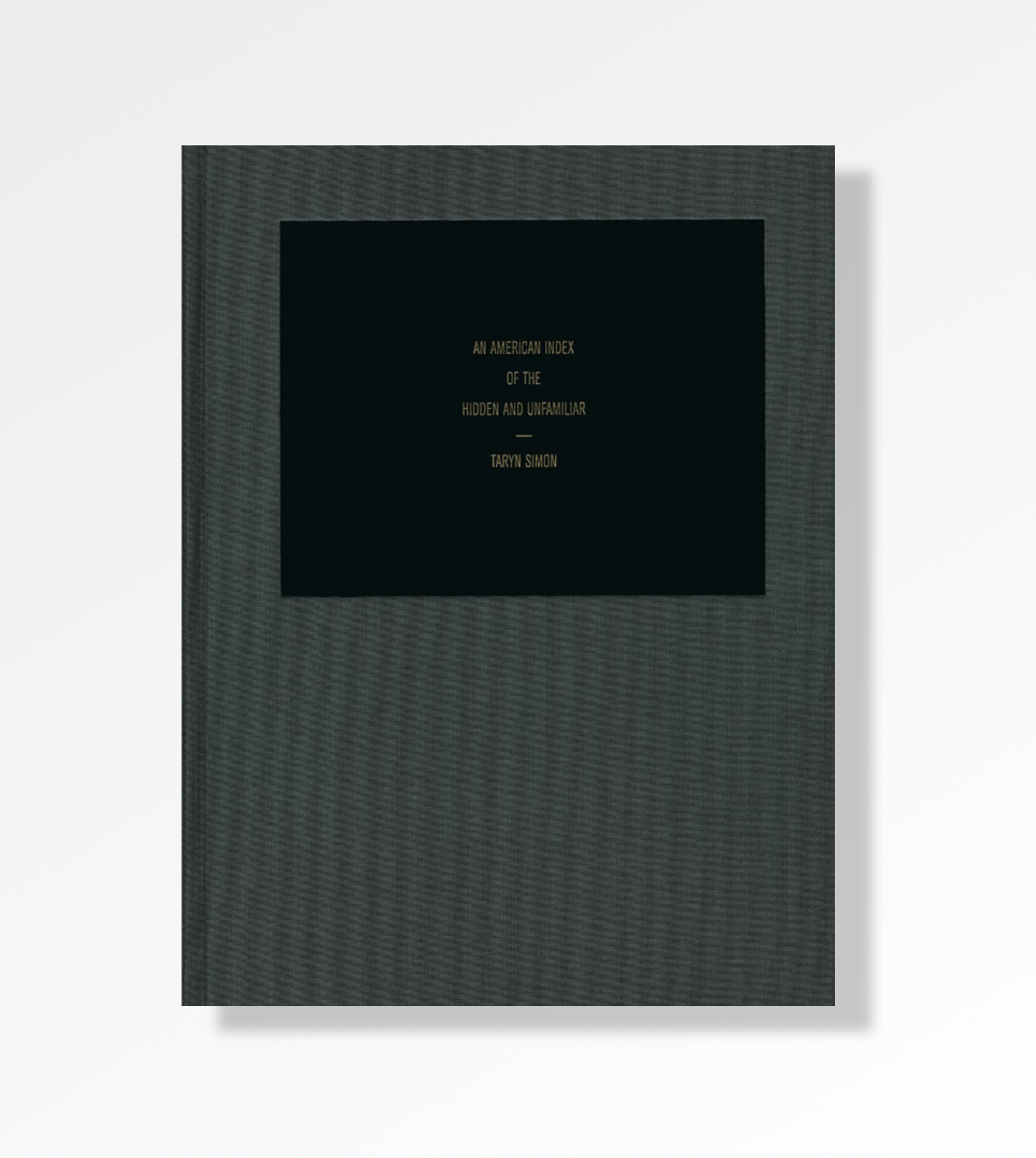 An American Index of the Hidden and Unfamiliar – Almine Rech Editions